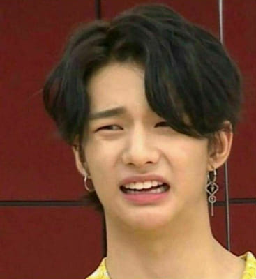 Choose a cursed SKZ photo and get a SKZ meme! - Quiz | Quotev