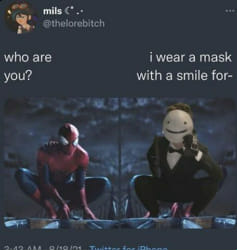 Answer some goofy ahh questions and get a DSMP Wattpad meme! - Quiz ...