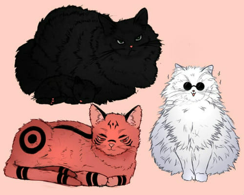 Adopt a JJK Cat - Quiz | Quotev