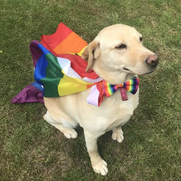 Pick some stuff I like - Quiz | Quotev