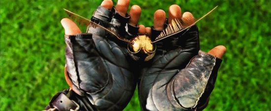 Quidditch Quiz For Hogwarts Roleplay - Test | Quotev