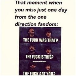 What should i call you? - Poll | Quotev