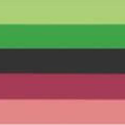 Guess the Pride Flags - Test | Quotev