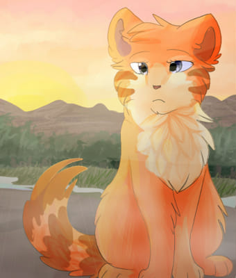 Taking care of Sunfall! (Warriors rp/quiz) - Quiz | Quotev