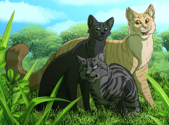 How well do you know Leafpool? - Test | Quotev