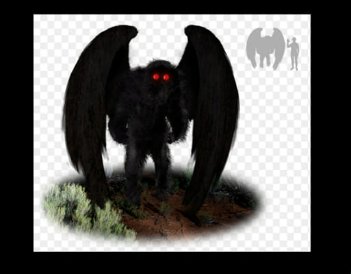 how well do you know your cryptids? - Test | Quotev