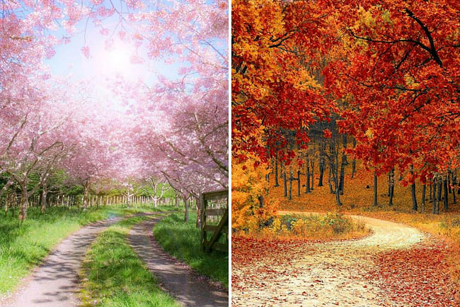 Do you prefer Fall, Or Spring? - Survey