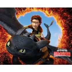 How Well do you Know the First Movie? - HtTYD - Test | Quotev