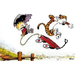 How well do you know Calvin and Hobbes - Test | Quotev