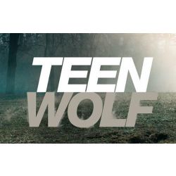 Who's Your Teen Wolf Guy? - Quiz | Quotev