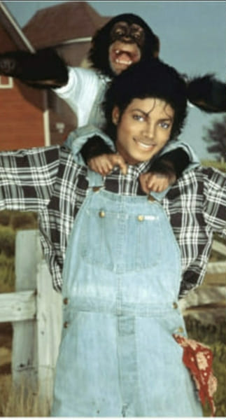 The Ultimate MJ quiz - Test | Quotev