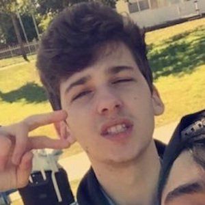 How well do you know pokediger - Test | Quotev