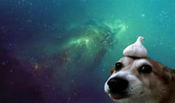 a random survey for random people - Survey | Quotev