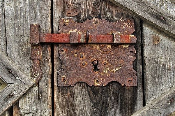 Which Jack's New Life Character are you? - Quiz | Quotev