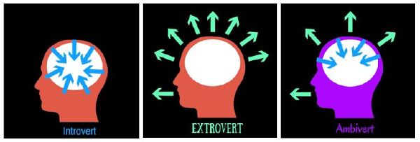Are you an Introvert, an Extrovert, or an Ambivert? - Quiz | Quotev