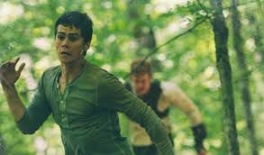 Maze Runner: Could You Survive The Maze? - Quiz | Quotev