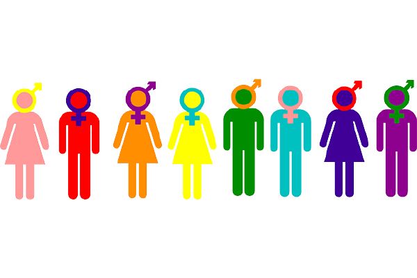 What s your gender identity? - Quiz | Quotev
