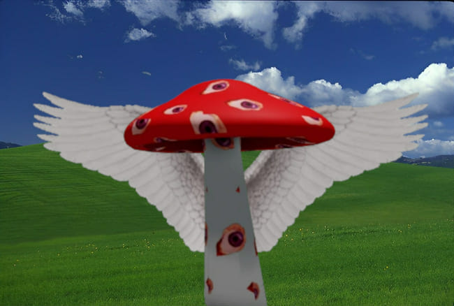 Finish this story [𝚠𝚎𝚒𝚛𝚍𝚌𝚘𝚛𝚎], get a 𝚠𝚎𝚒𝚛𝚍𝚌𝚘𝚛𝚎 song - Quiz | Quotev