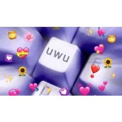are you an uwu? - Quiz | Quotev