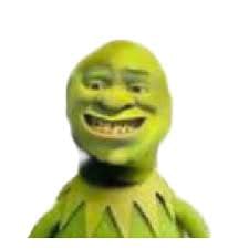 What does Shrek think of you? (GIRLZ ONLY!) - Quiz | Quotev