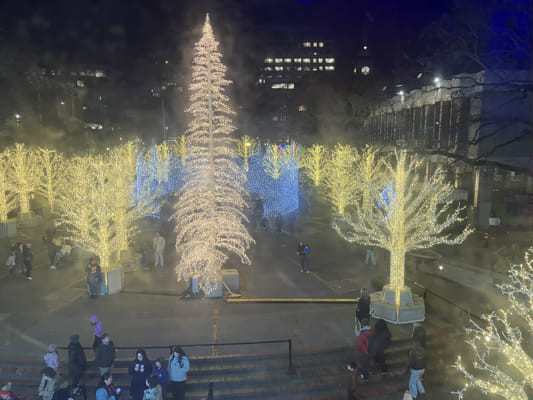 Who would you like to see more of as a POV? - Poll | Quotev