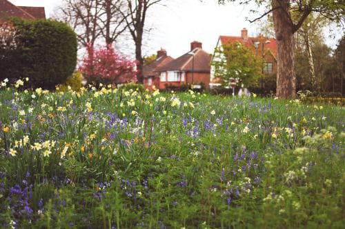 TOH door game - your life - Quiz | Quotev