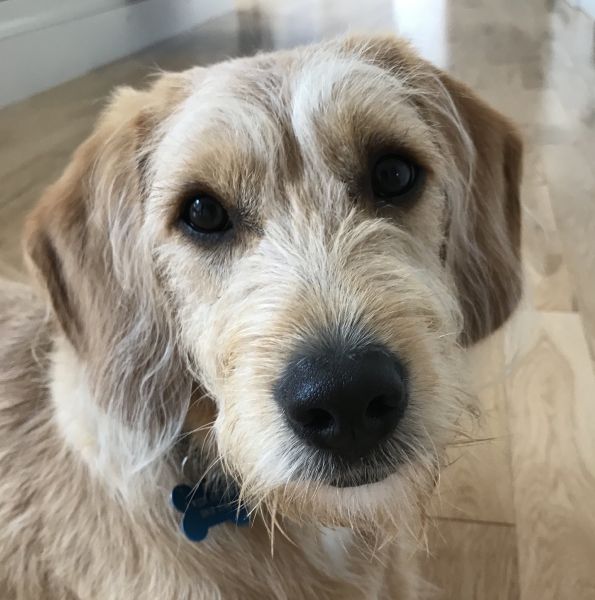 Ella Pearce | Quotev