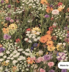 Animal pretty/types of pretty quiz - Quiz | Quotev