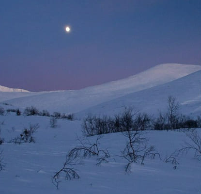 Are You More Like Augustine Or Winnie? - Cold Front - Quiz | Quotev