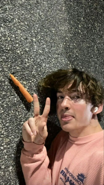 which one of flamingo alberts friends are you - Quiz | Quotev