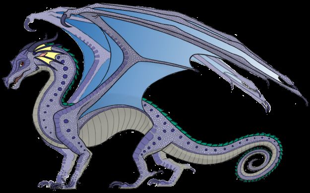 What would be your default rainwing colours - Quiz | Quotev