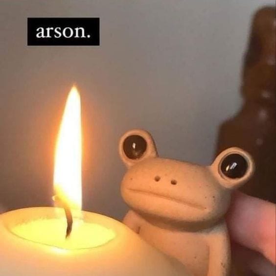 Arson Frog | Quotev