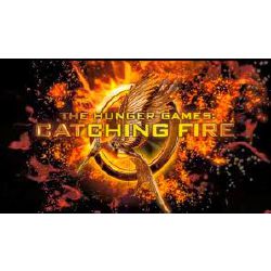 Do you know catching fire? - Test | Quotev