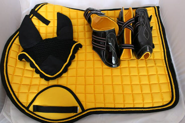 Create a riding school and get a horse - Quiz | Quotev