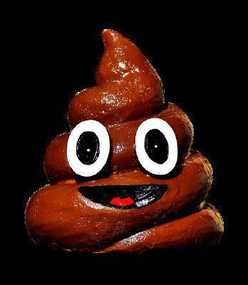 Is your life poop? - Quiz | Quotev