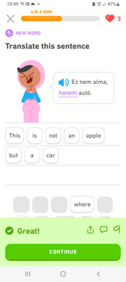 Pick some unhinged Duolingo sentences and get a dream SMP member - Quiz ...