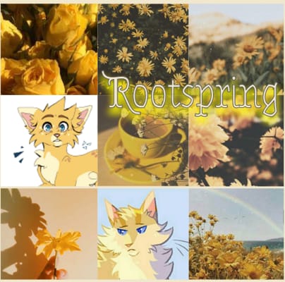 Warrior Cats Collage Discover Warrior Cats Ultimate Edition Content!