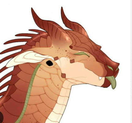 how well do you know mudwings? - Test | Quotev