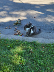 How should my book end? - Poll | Quotev