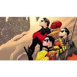 Which Robin are you - Quiz | Quotev