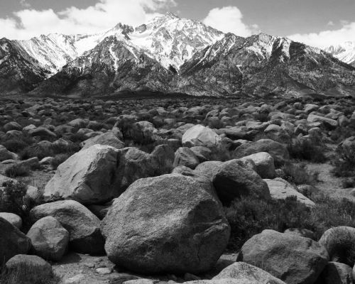 People's attitude towards nature - Survey | Quotev