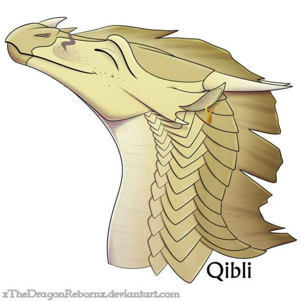 How Well Do You Know Qibli? - Test | Quotev