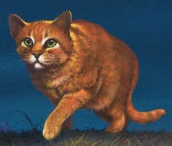 How well do you know Firestar? - Test | Quotev