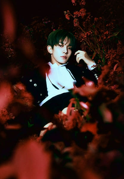 rain inactive | Quotev