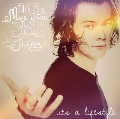 Kidnapped by One Direction. Chapter 10. "Take Flight!" - Quiz | Quotev