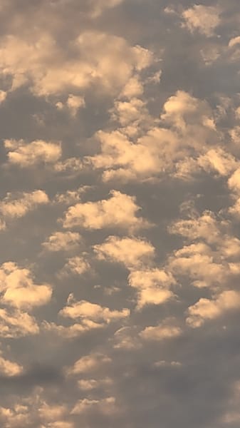 Nightingale | Quotev