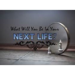What are you in your next life? - Quiz | Quotev