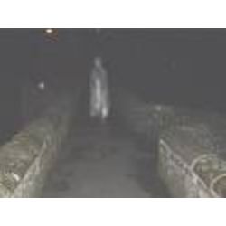 What ghost follows you and why x - Quiz | Quotev