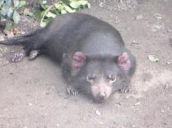 What iCarly character are you? - Quiz | Quotev