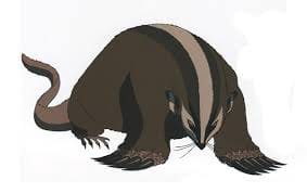 Which Freedom Fighter Are You? (Avatar: The Last Airbender) - Quiz | Quotev